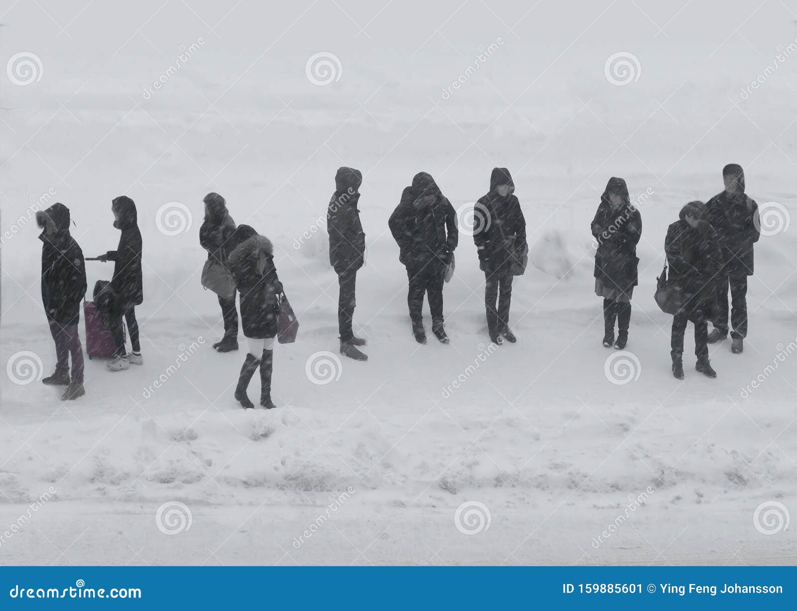 People in heavy snow storm stock image. Image of cold - 159885601