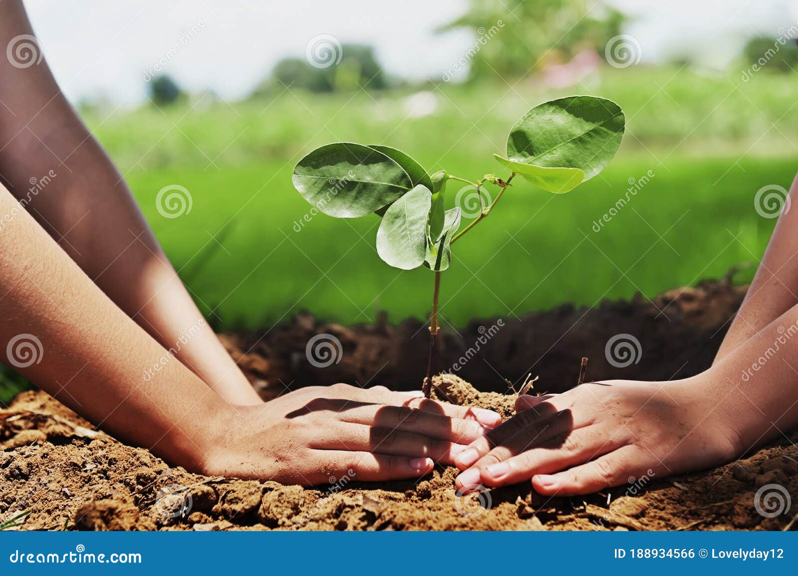 People Helping Planting Tree in Nature for Save Earth. Environment Eco ...