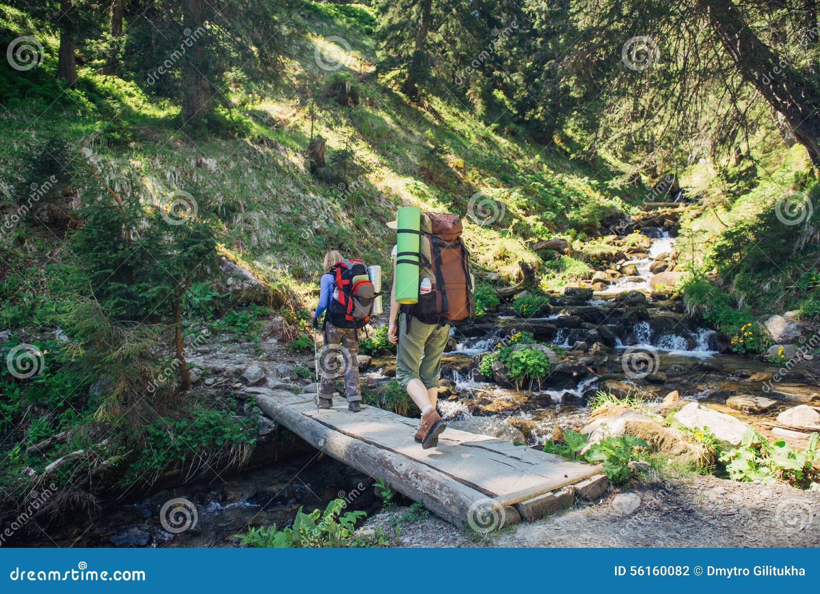 People Hiking in Carpathian Mountains Stock Photo - Image of people ...