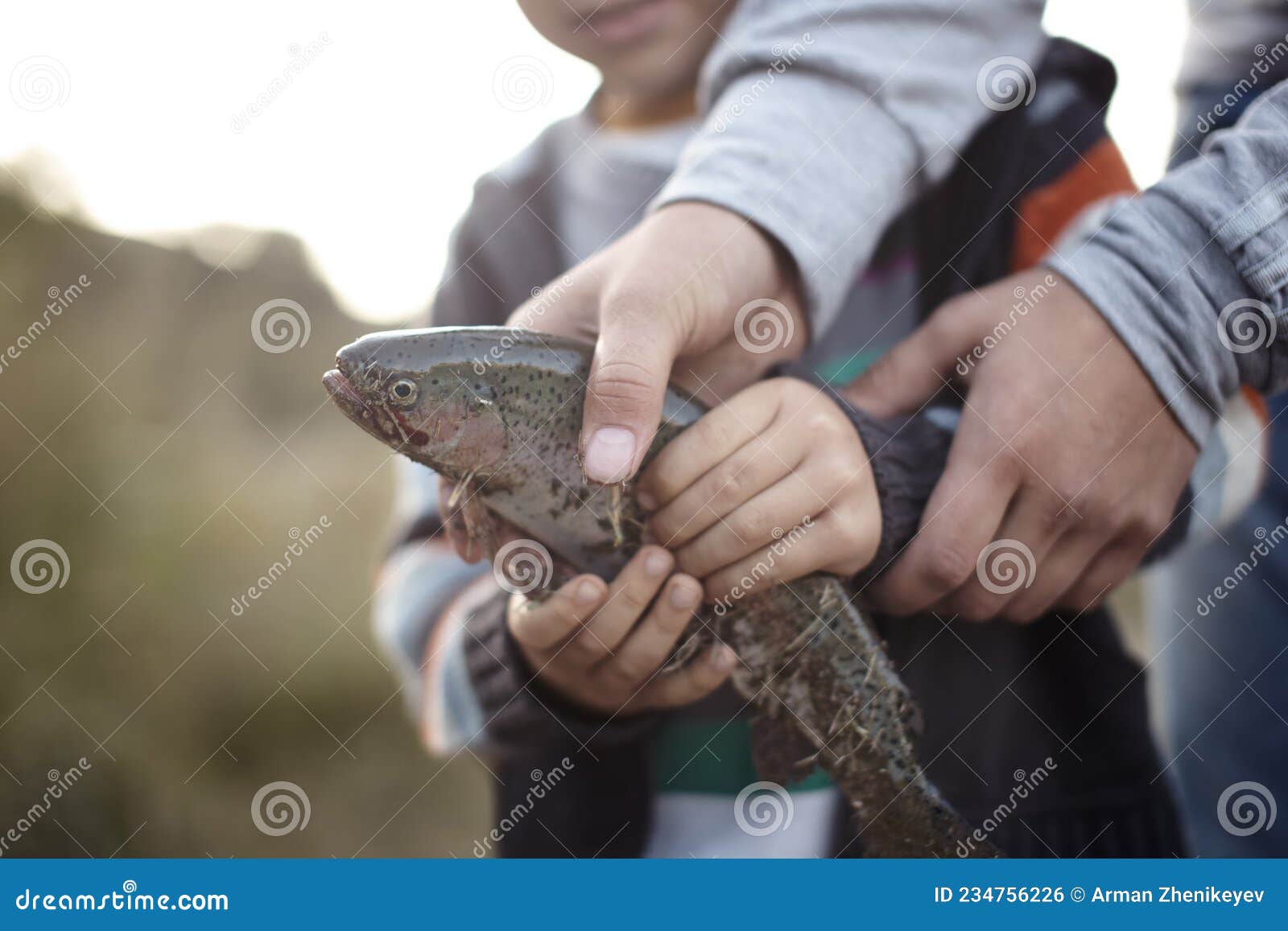 People Holding Trapped Fish Stock Photo - Image of limb, parenthood ...