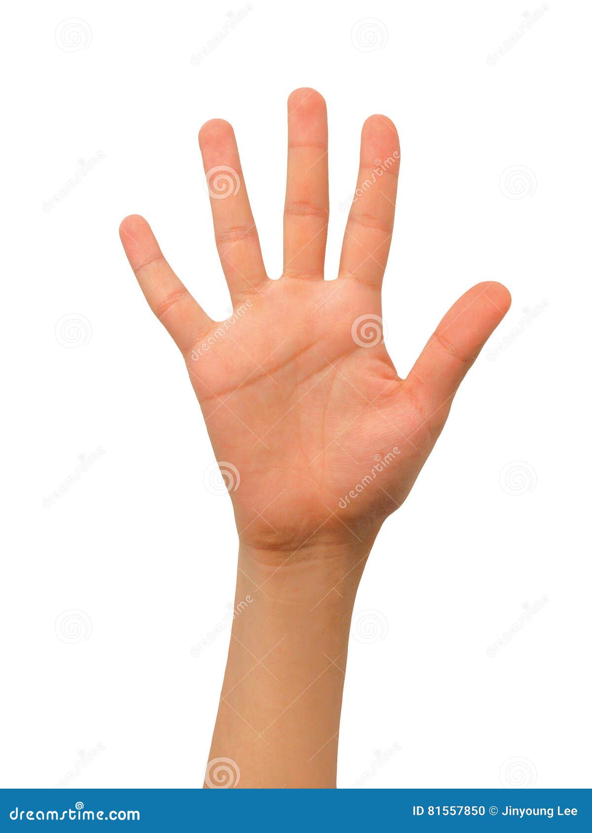 People stock photo. Image of people, body, group, hand - 81557850