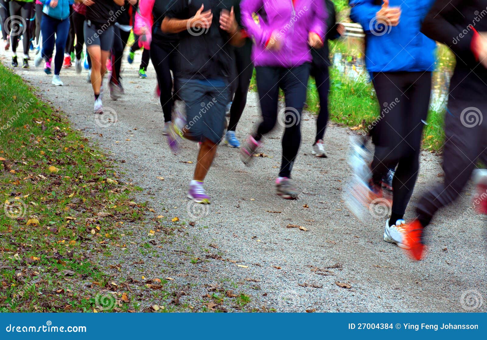 People jogging stock photo. Image of group, jogging, exercising - 27004384