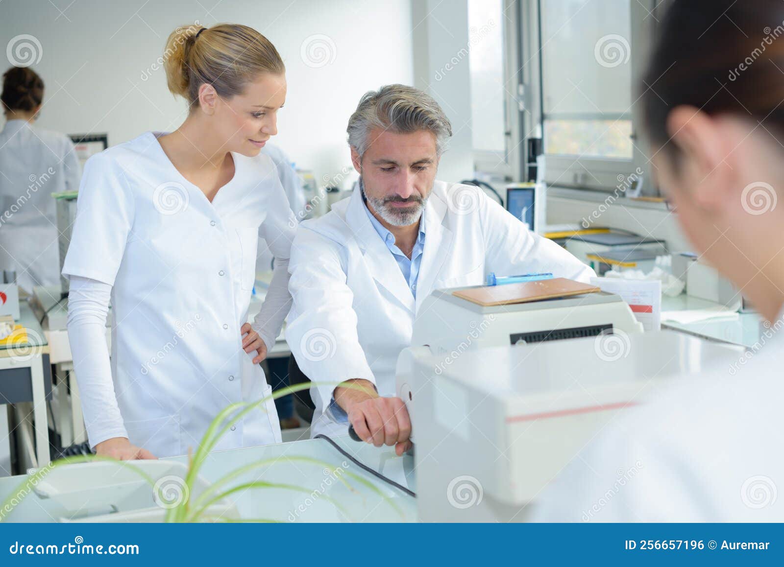 People in lab stock photo. Image of examination, professional - 256657196