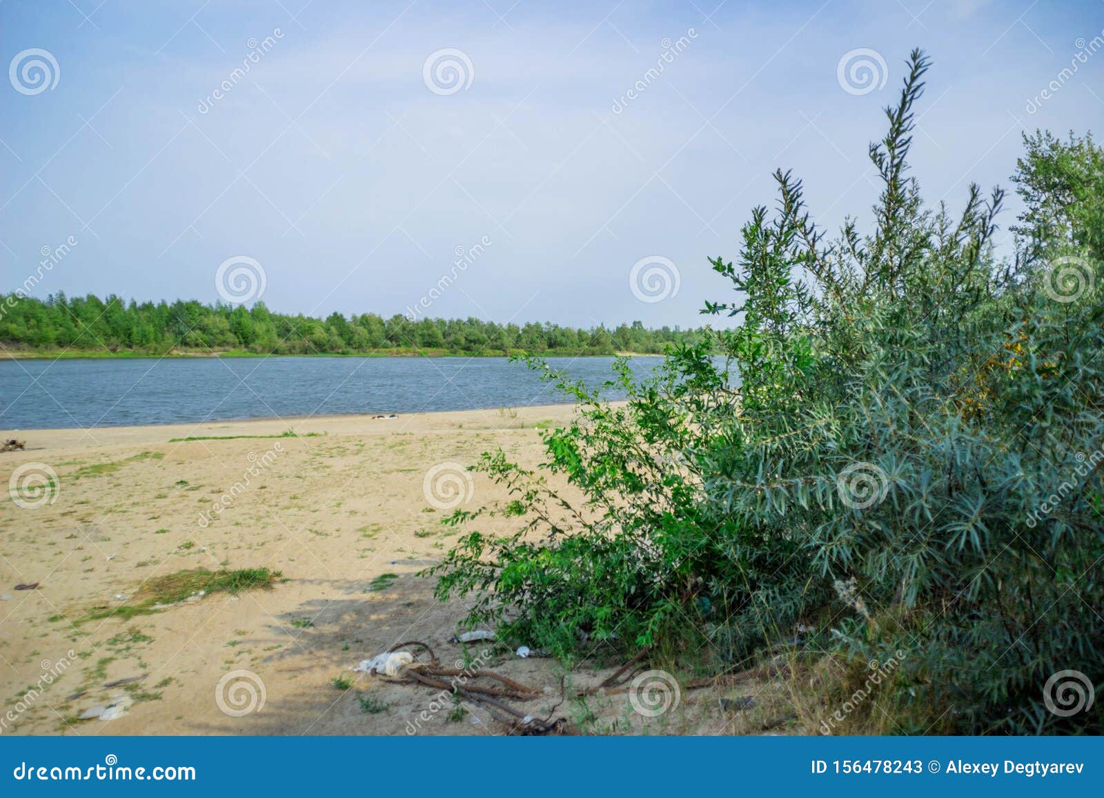 People Leave Trash on the Ground Comfortable. Environmental Pollution ...