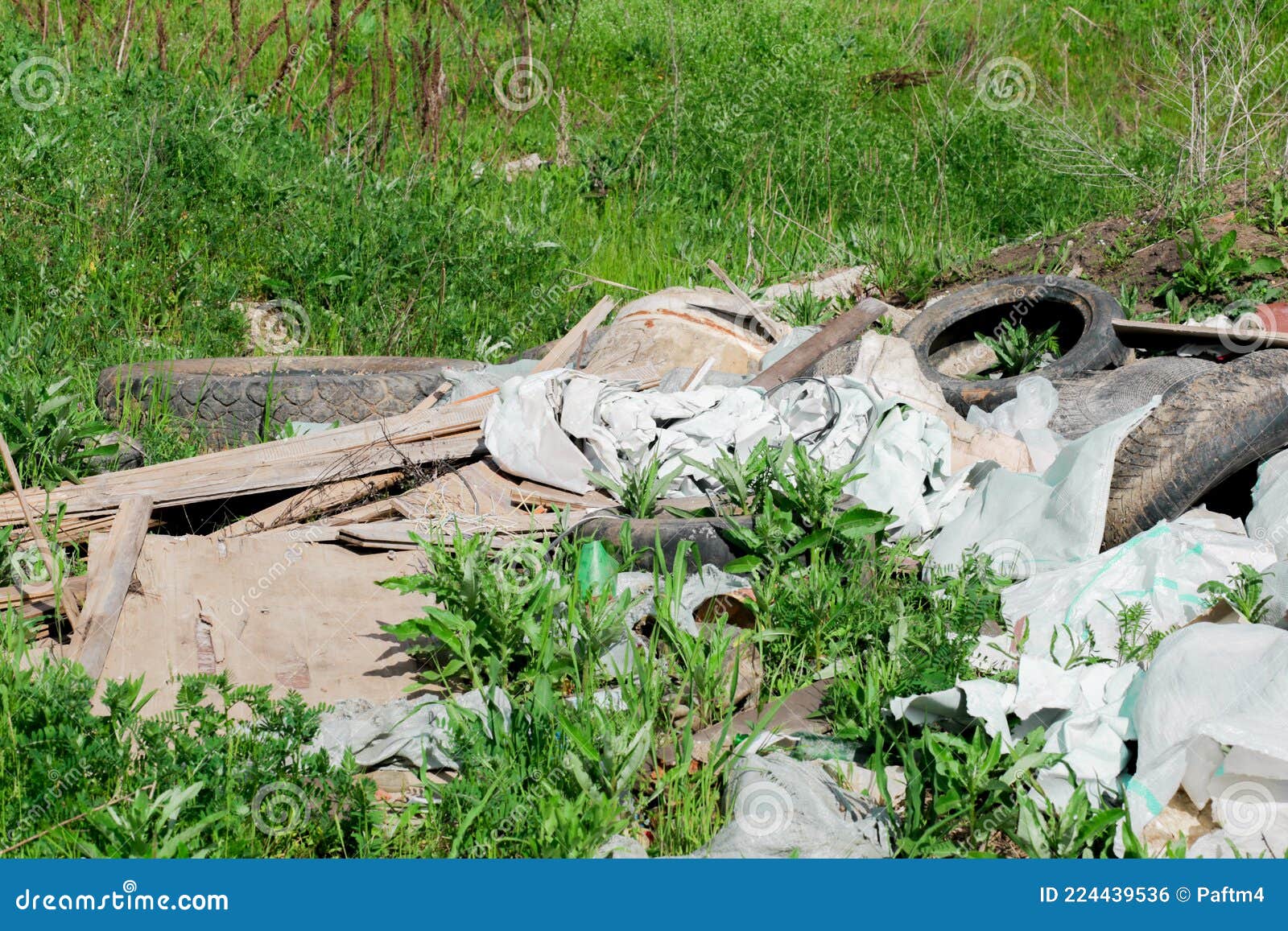 People Left Construction Waste Outdoors in the Forest. Pollution of ...