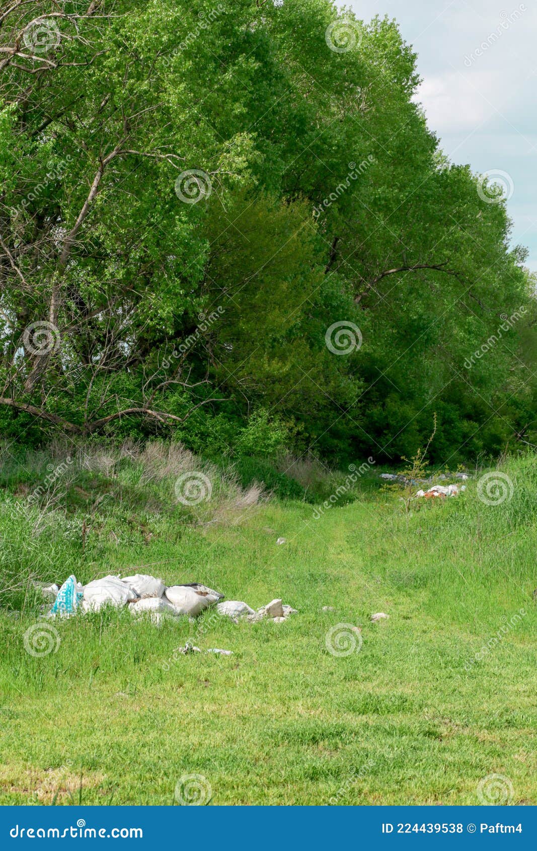 People Left Construction Waste Outdoors in the Forest. Pollution of ...
