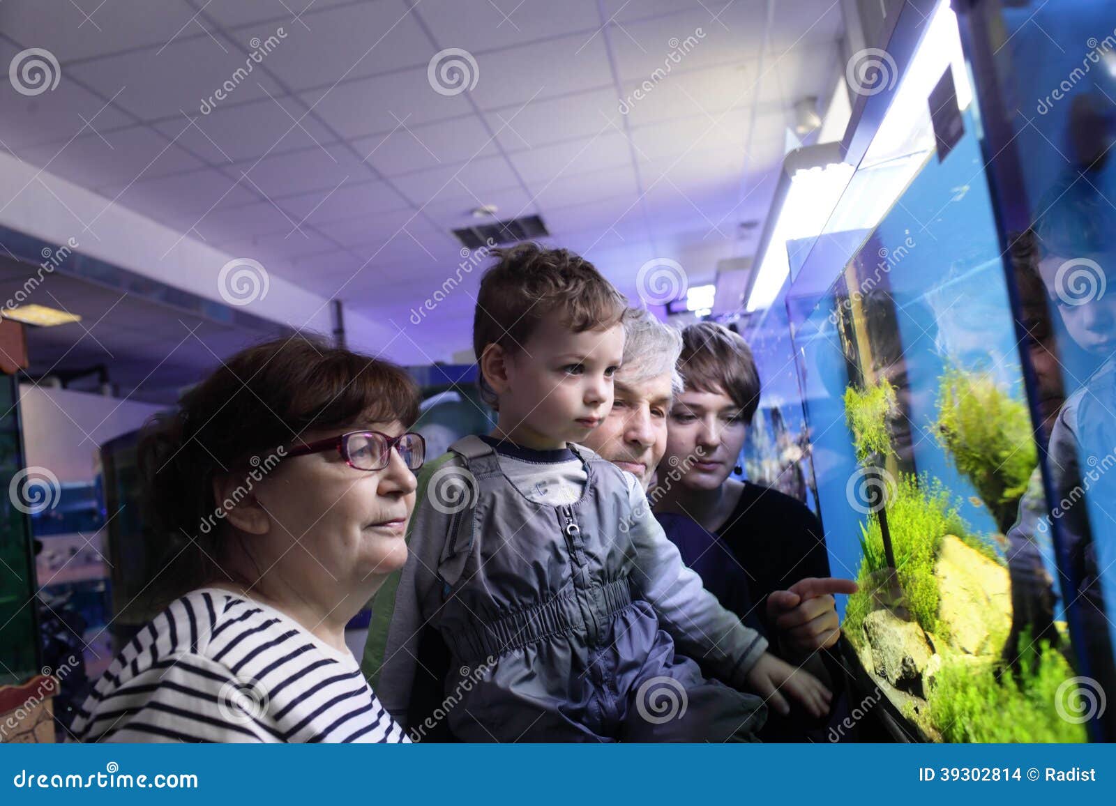 People looking at fishes stock photo. Image of fish, aquarium - 39302814