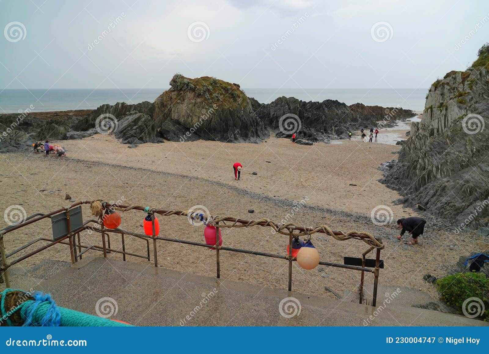 People Looking for Shells on Beach Editorial Photography - Image of ...