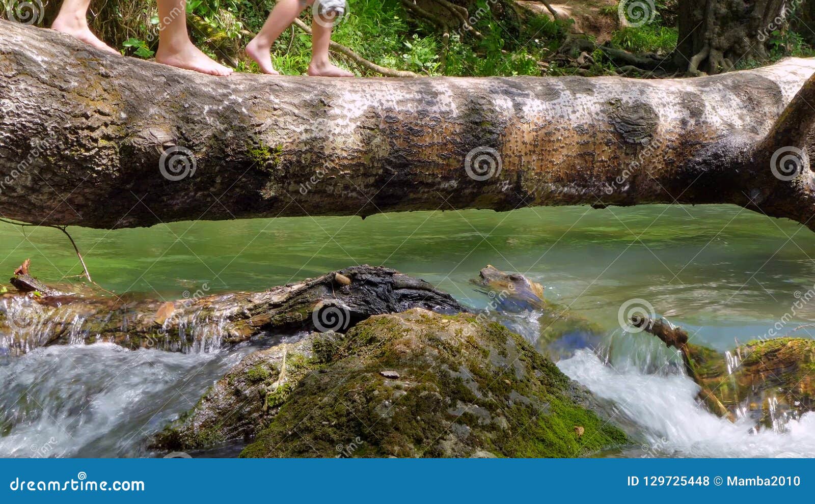 People are Moving on a Log Over a River Stock Footage - Video of ...