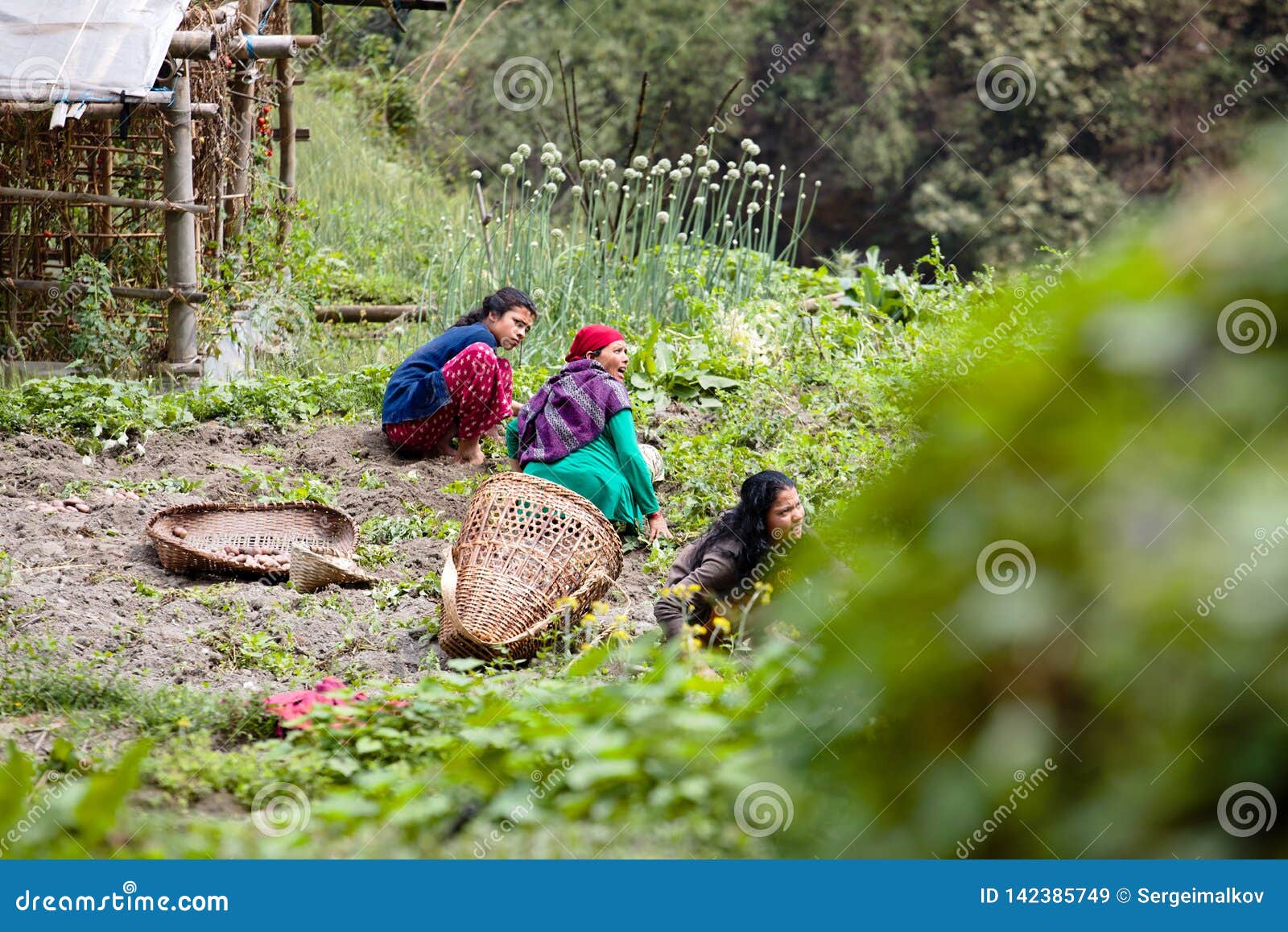People of Nepal at Work. City Pictures Editorial Stock Image - Image of ...