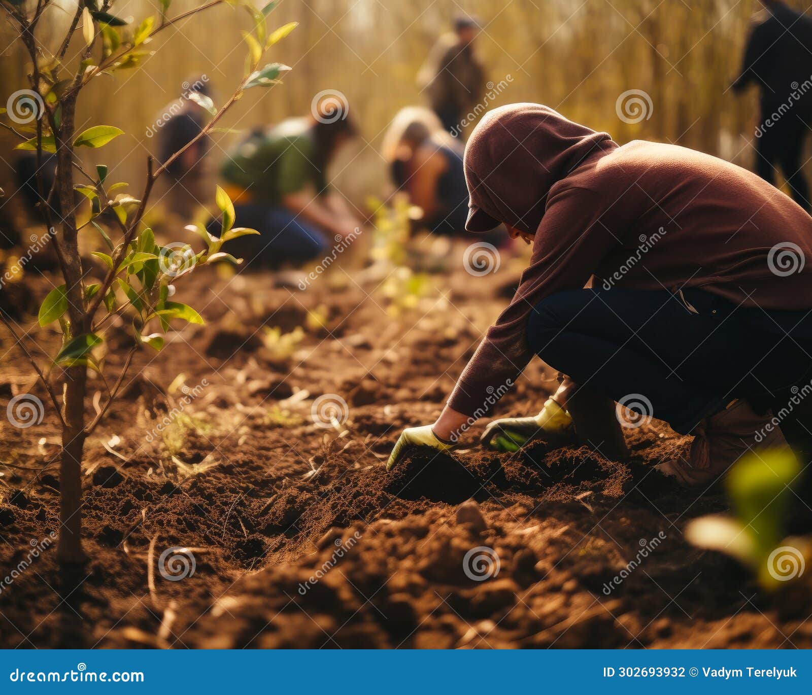 People Palnting New Forest. Tree Planting Spring Process Stock ... People Palnting New Forest. Tree Planting Spring Process Stock ...