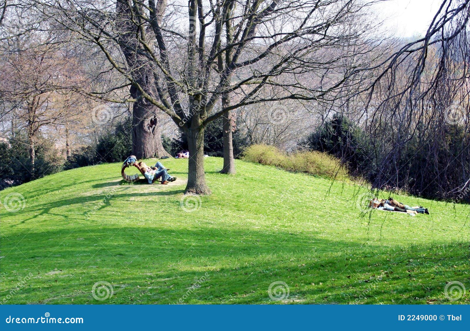 People in the park stock photo. Image of resting, families - 2249000