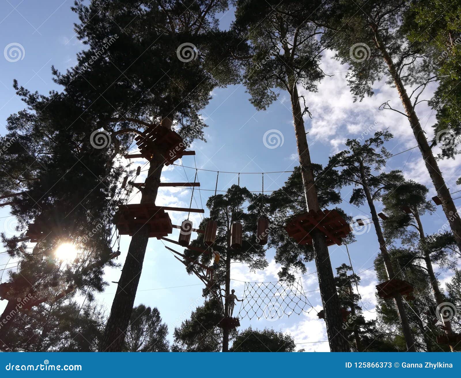 People Pass an Obstacle Course in a Rope Park in the Forest Stock Image ...