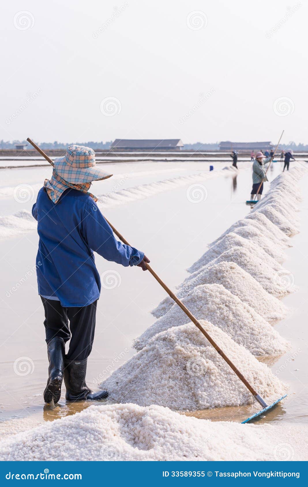 People piling up sea salt stock image. Image of drying - 33589355