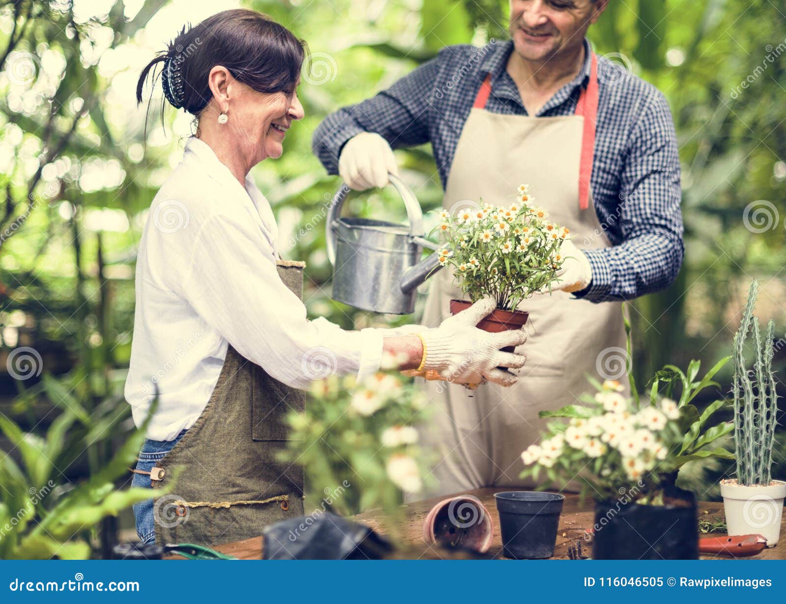 People are Planting Flowers Together Stock Image - Image of green ...