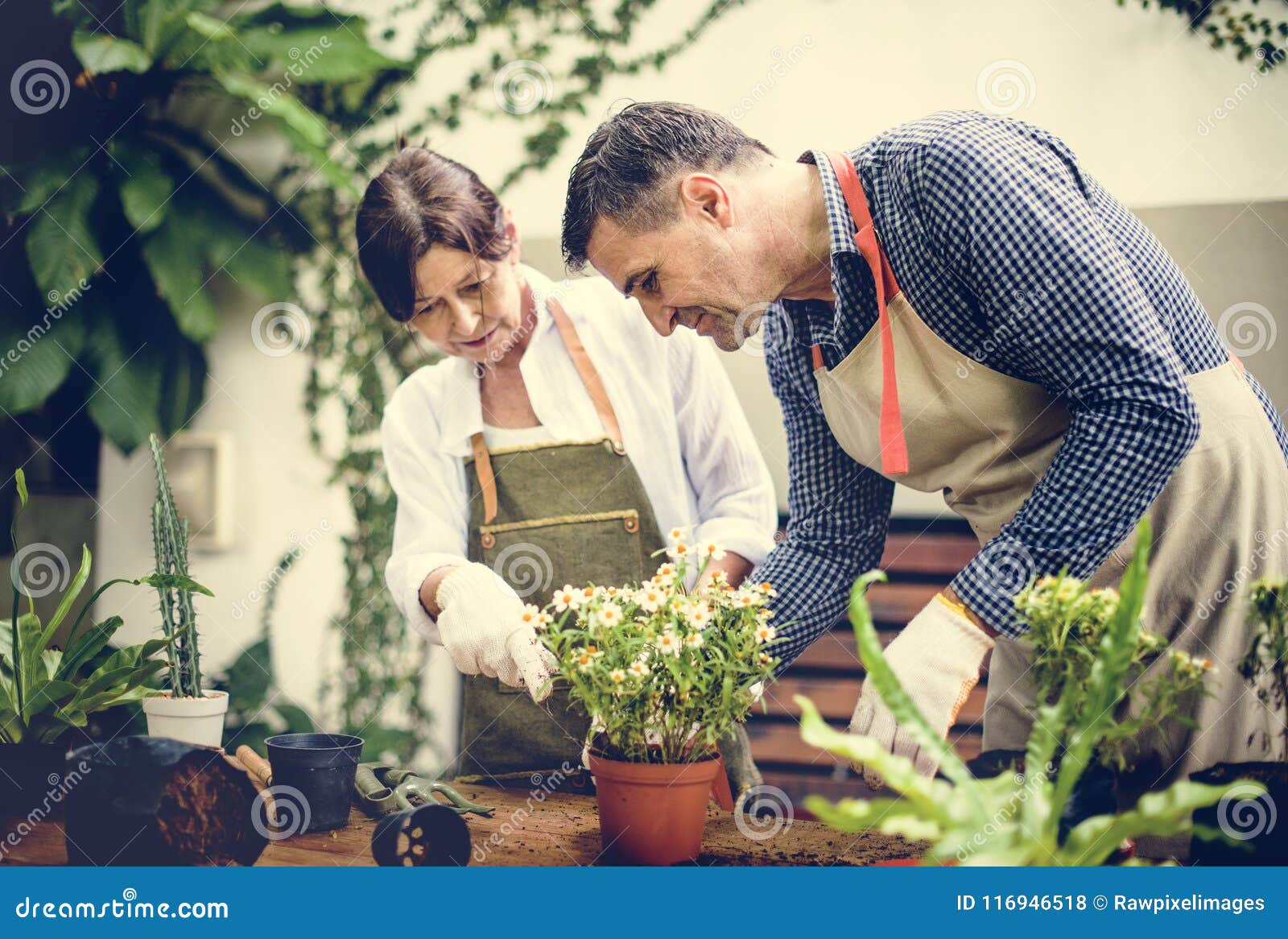 People are Planting Flowers Together Stock Photo - Image of nature ...