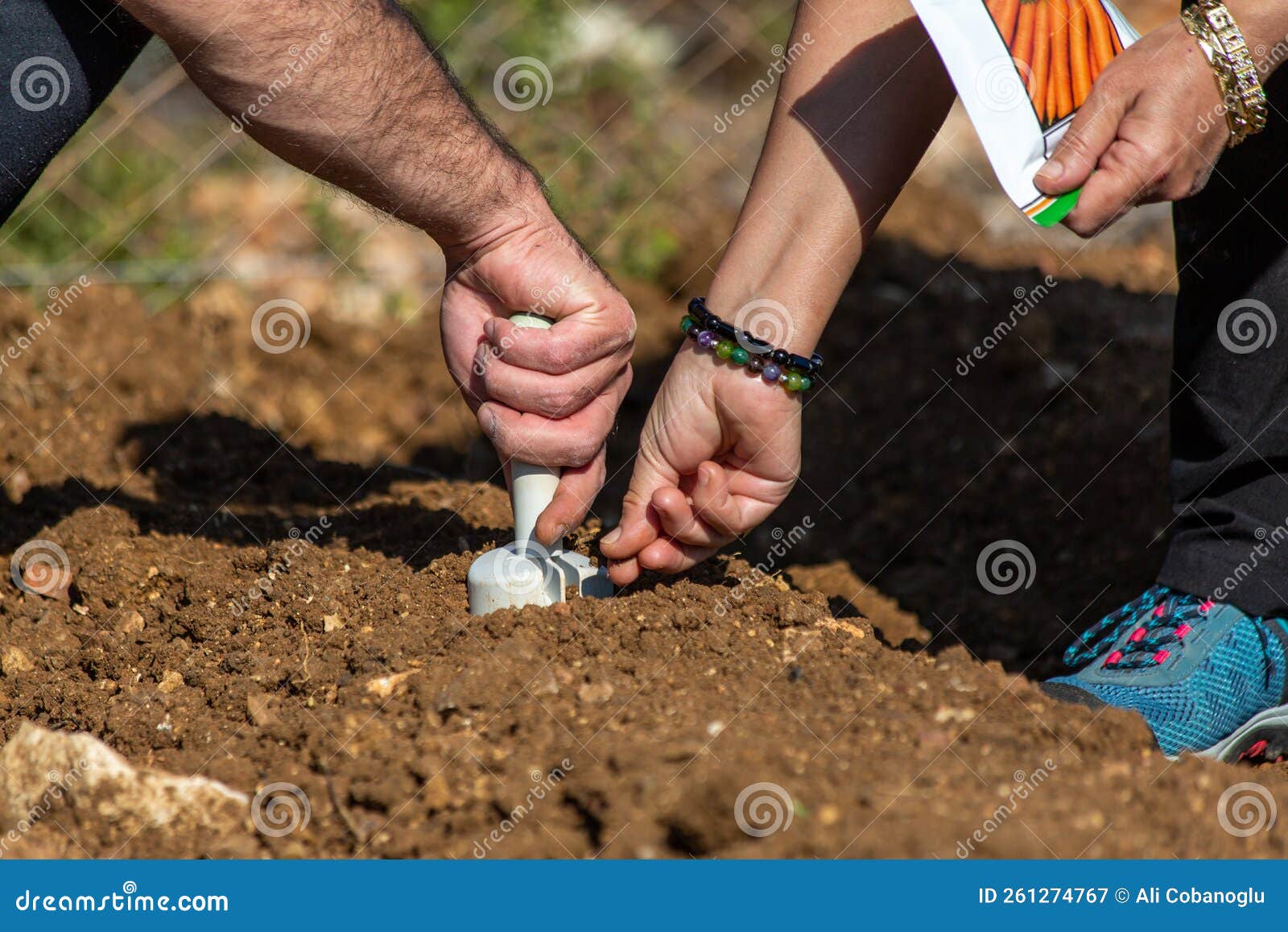 People Planting Seeds in Their Garden Stock Image - Image of fresh ...