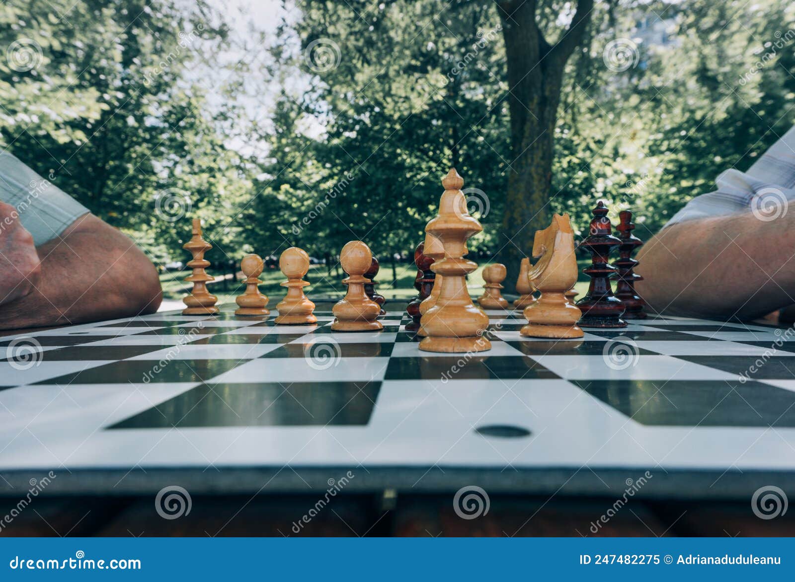 People playing chess stock image. Image of ballgame - 247482275