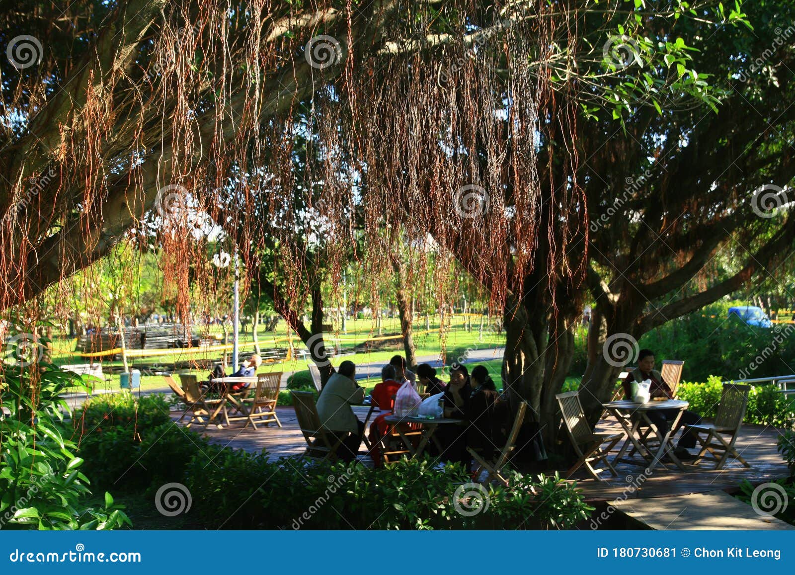 People Playing in the Daan Forest Park Editorial Photo - Image of ...