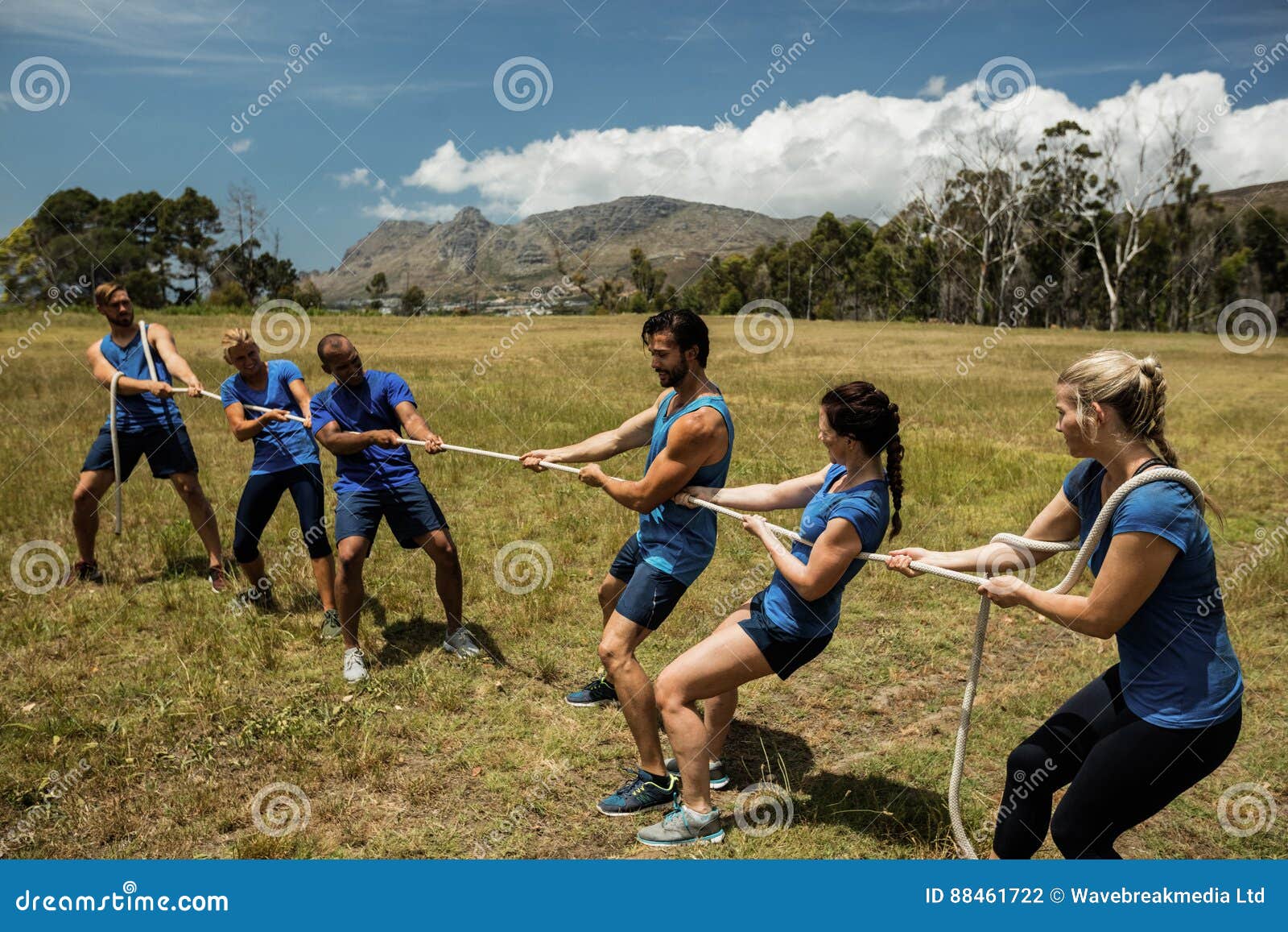 People Playing Tug of War during Obstacle Training Course Stock Photo ...