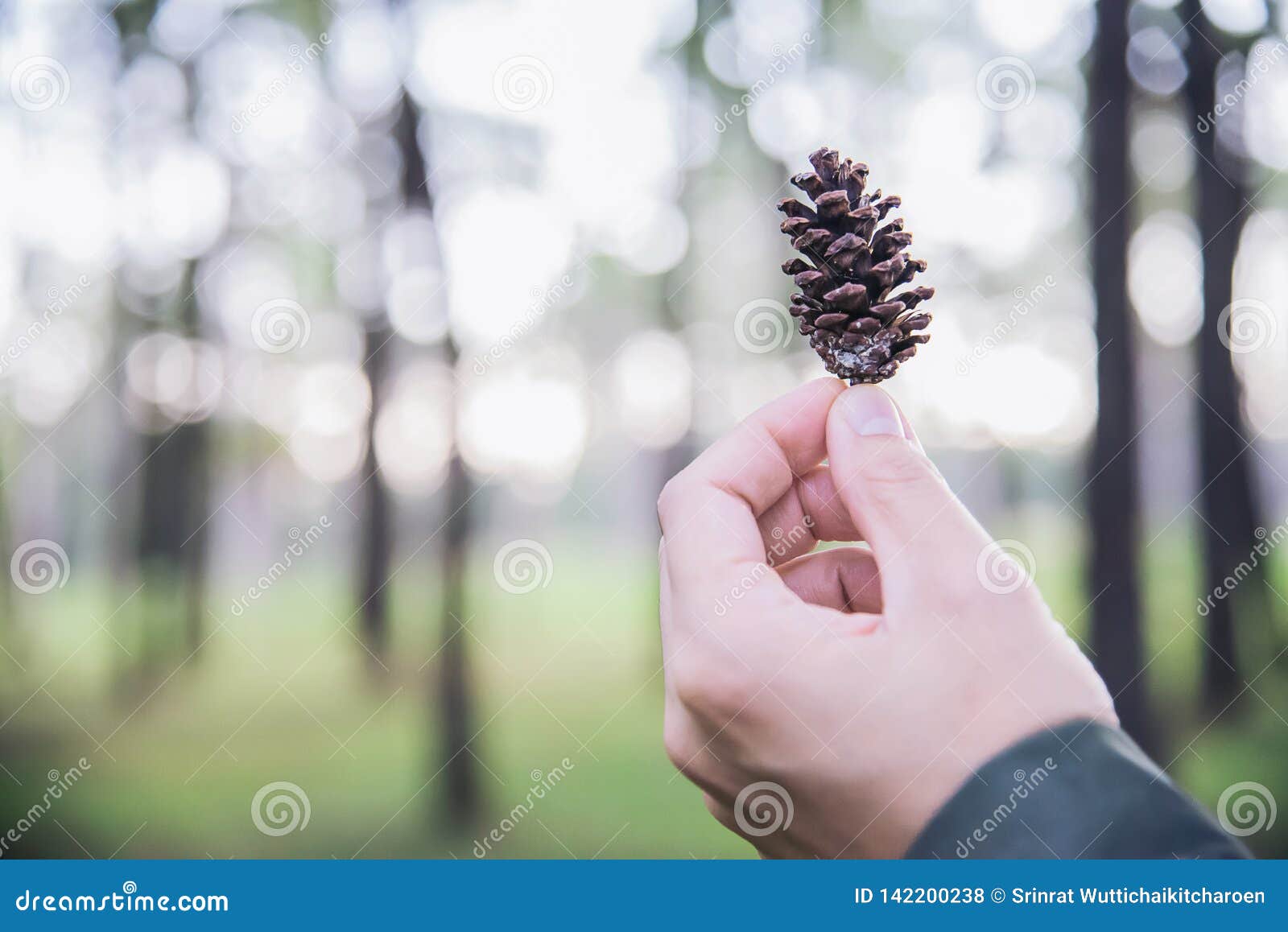 People Portrait in Green Forest Nature Stock Photo - Image of mystery ...
