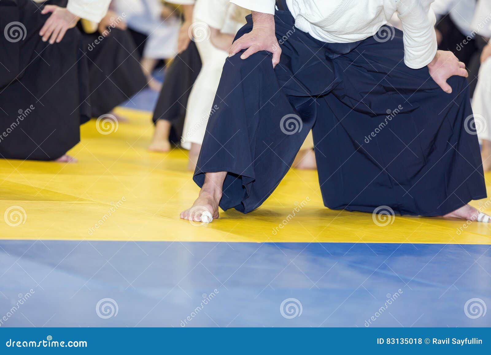 People practice Aikido stock photo. Image of jujitsu - 83135018