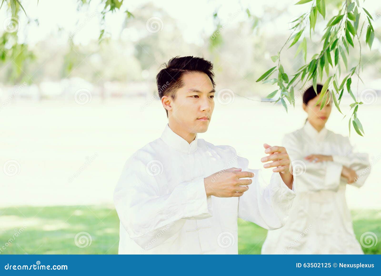 People Practicing Thai Chi in Park Stock Image - Image of nature, male ...