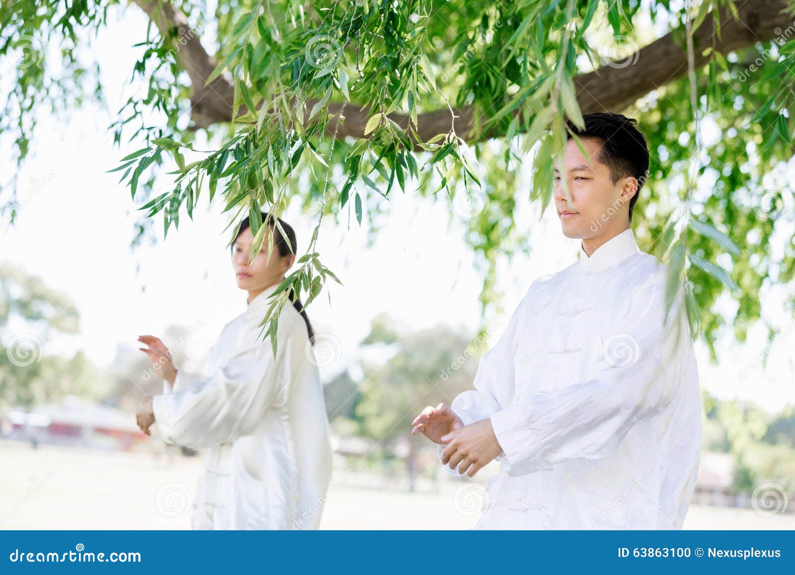 People Practicing Thai Chi in Park Stock Photo - Image of male ...