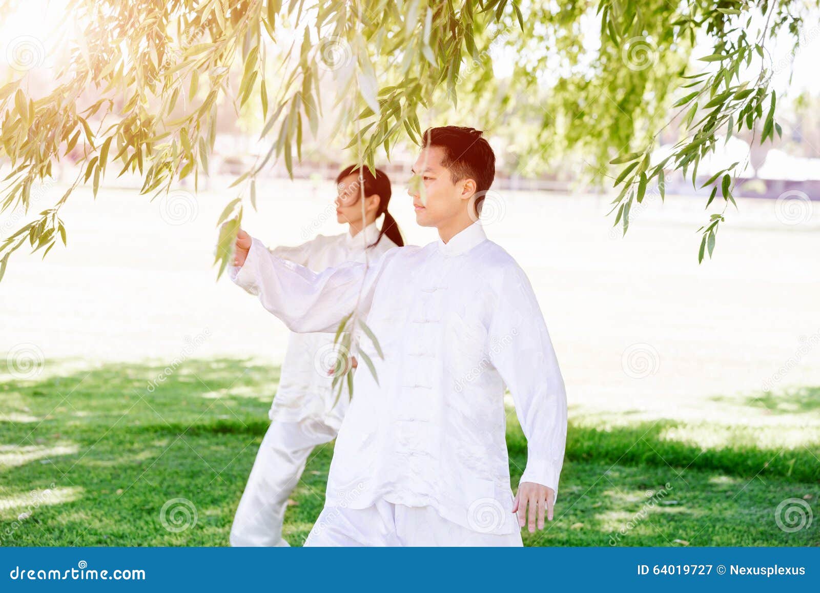 People Practicing Thai Chi in Park Stock Image - Image of peace ...