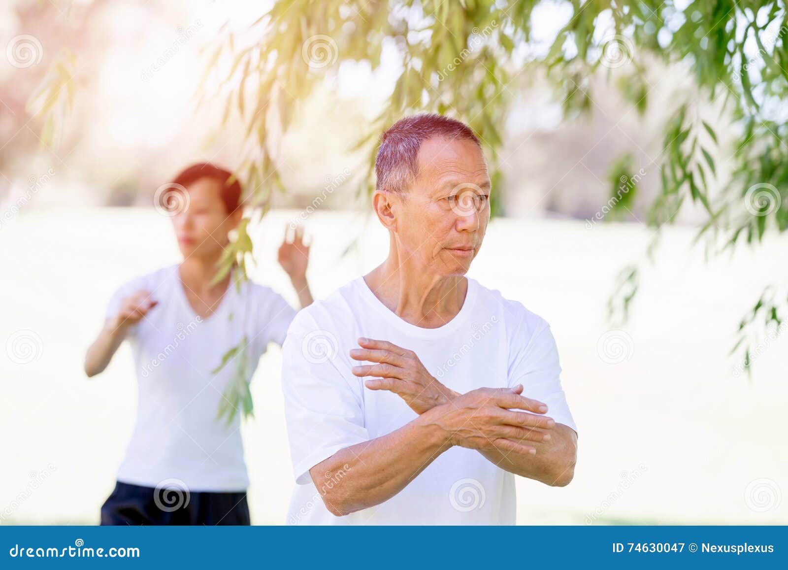 People Practicing Thai Chi in Park Stock Image - Image of slim, leisure ...