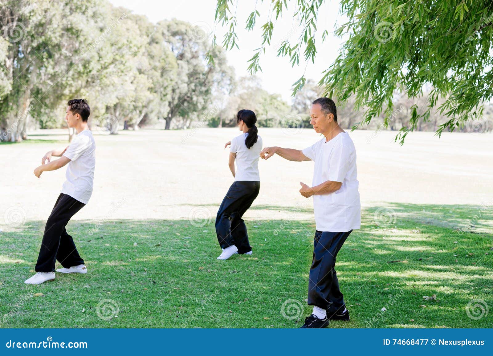 People Practicing Thai Chi in Park Stock Image - Image of health ...