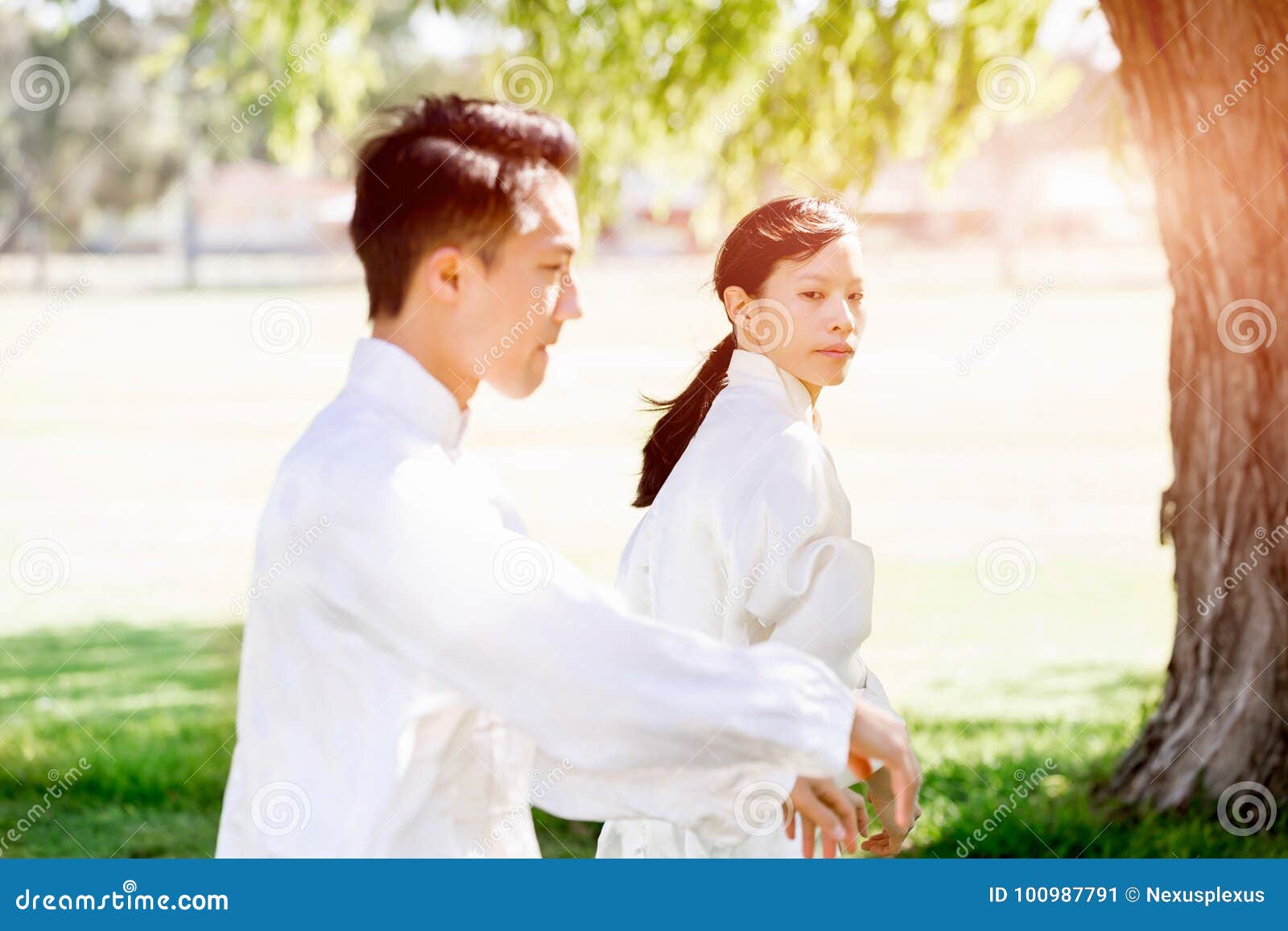 People Practicing Thai Chi in Park Stock Image - Image of harmony ...