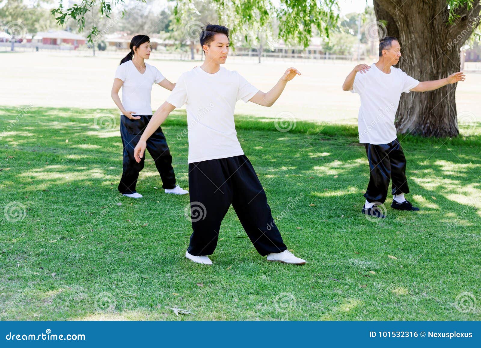 People Practicing Thai Chi in Park Stock Photo - Image of adult, people ...