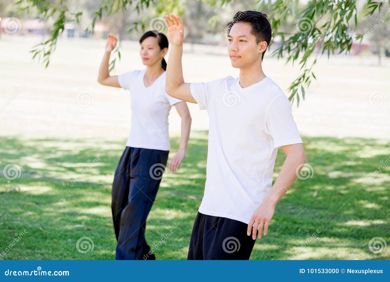 People Practicing Thai Chi in Park Stock Photo - Image of care, leisure ...