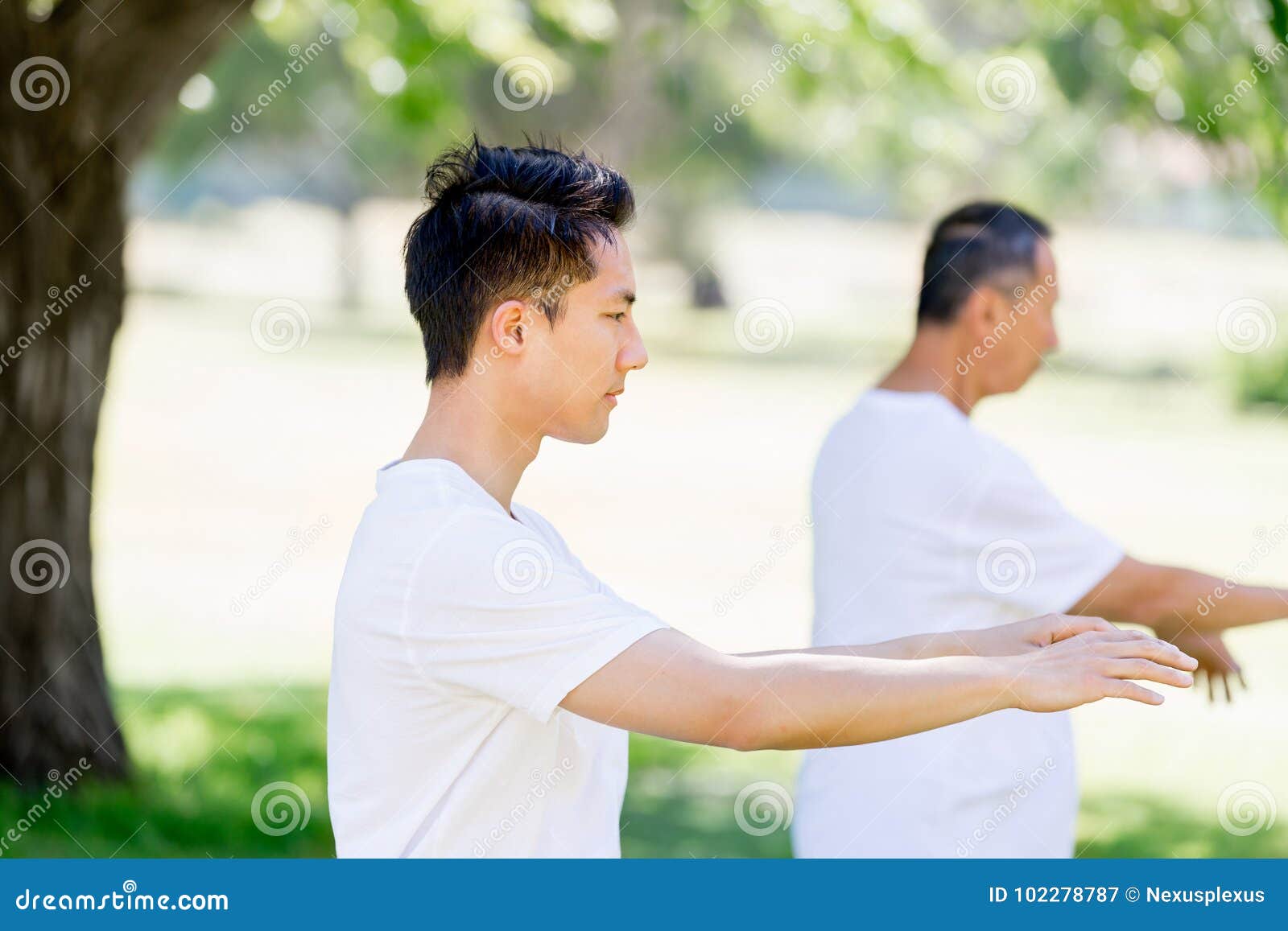 People Practicing Thai Chi in Park Stock Image - Image of serenity ...