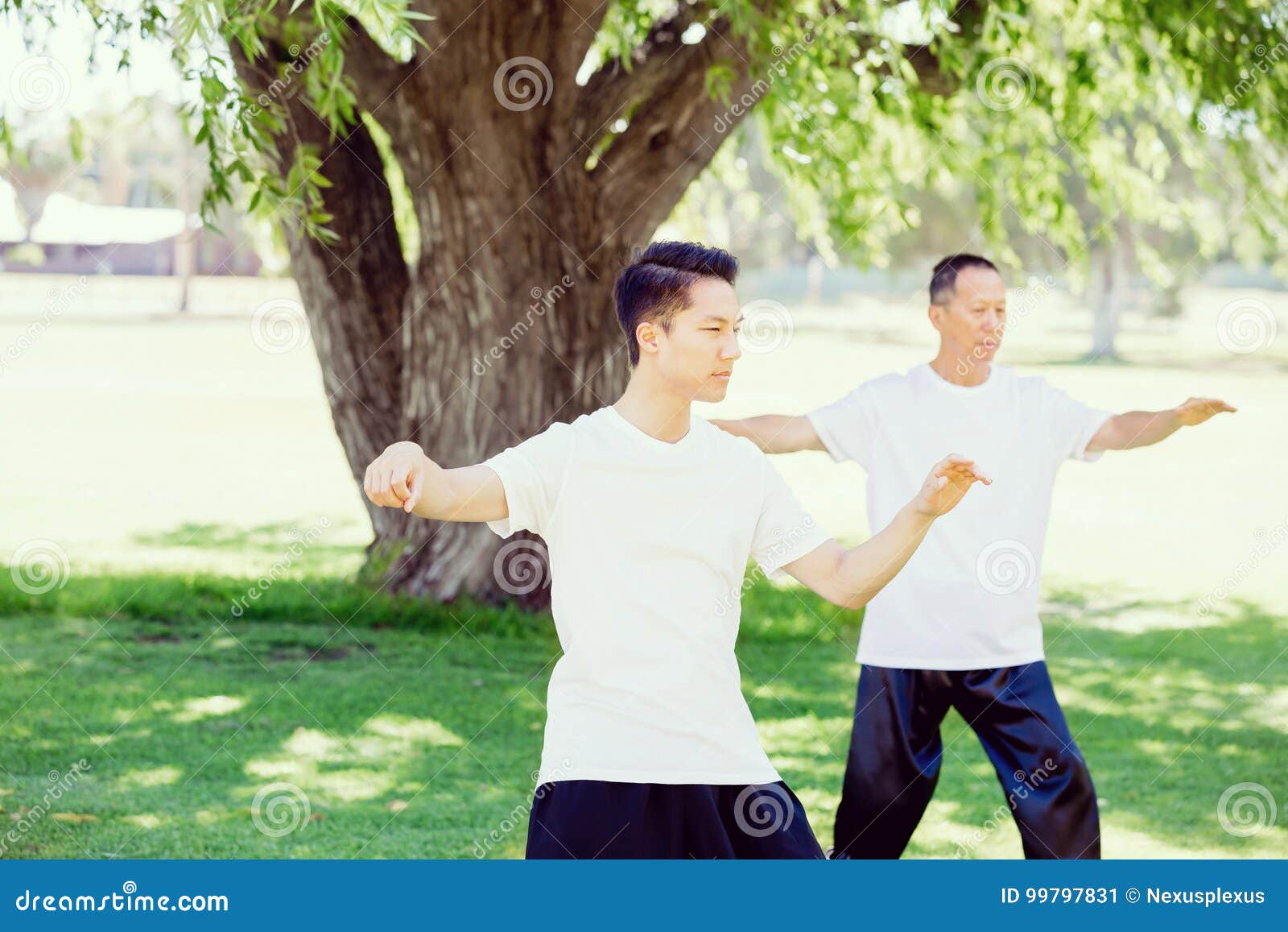 People Practicing Thai Chi in Park Stock Image - Image of harmony, soul ...