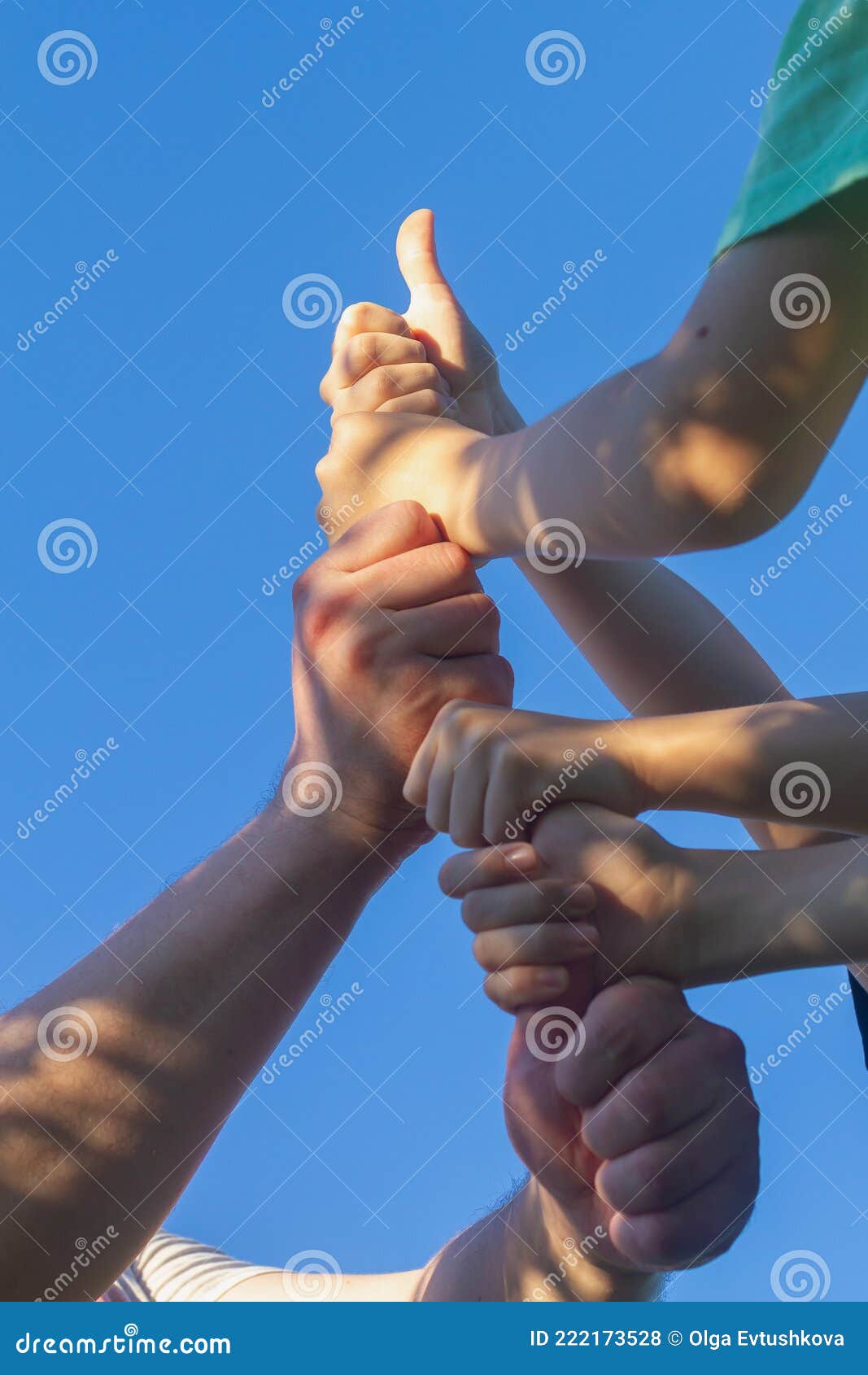 People Put Their Hands on Each Other As a Sign of Reciprocity and ...