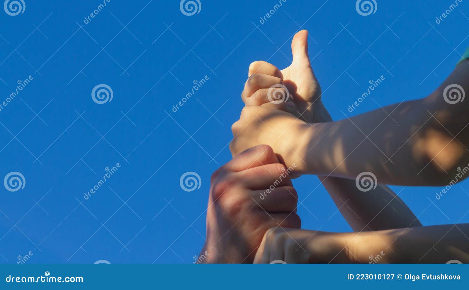 People Put Their Hands on Each Other As a Sign of Reciprocity and ...