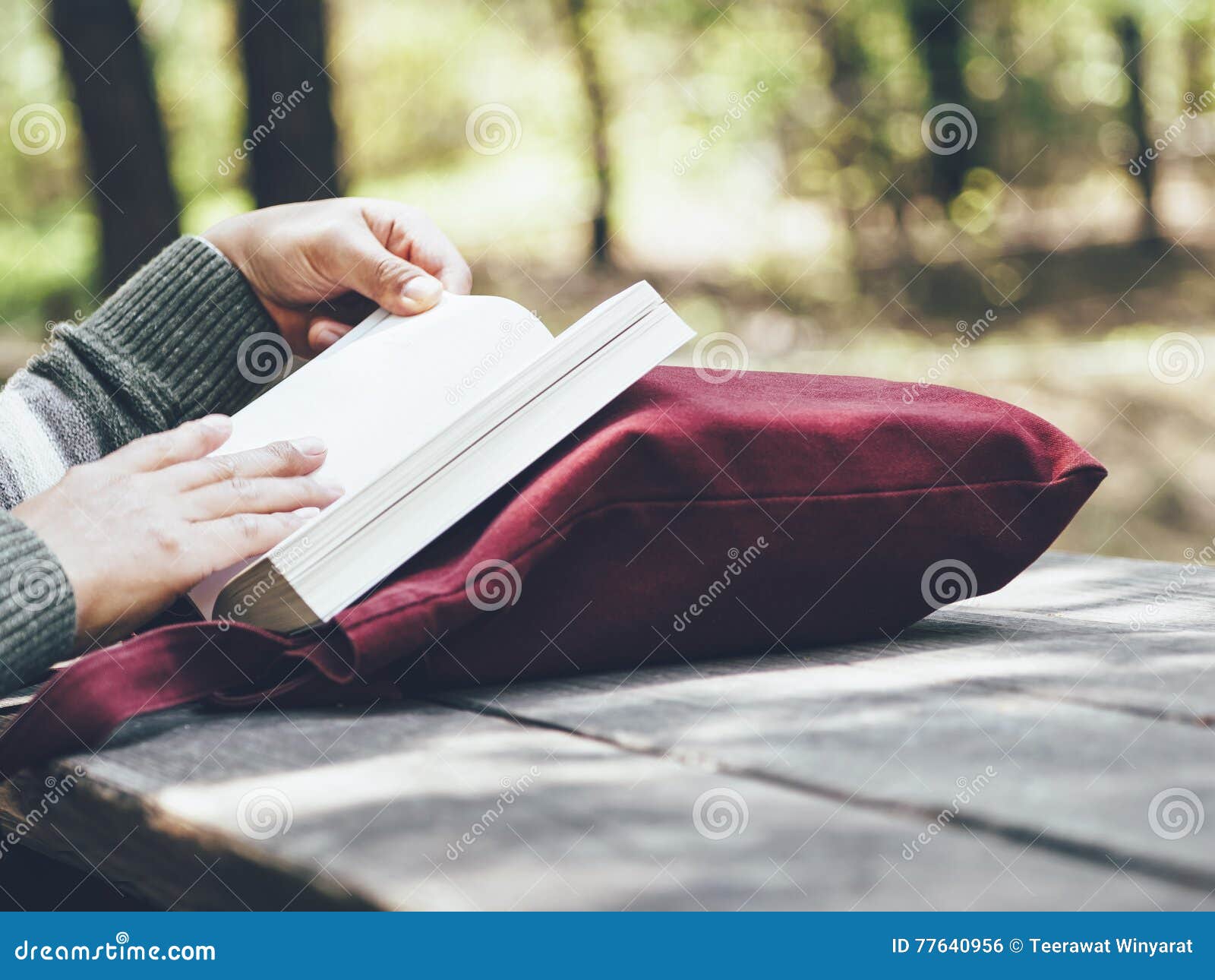 People Reading Book in Park Leisure Activity Outdoor Stock Photo ...
