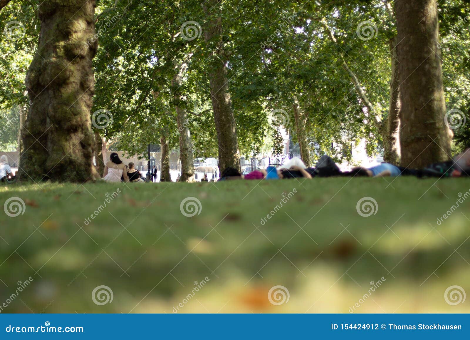 People are Relaxing in a Park Stock Photo - Image of nature, young ...