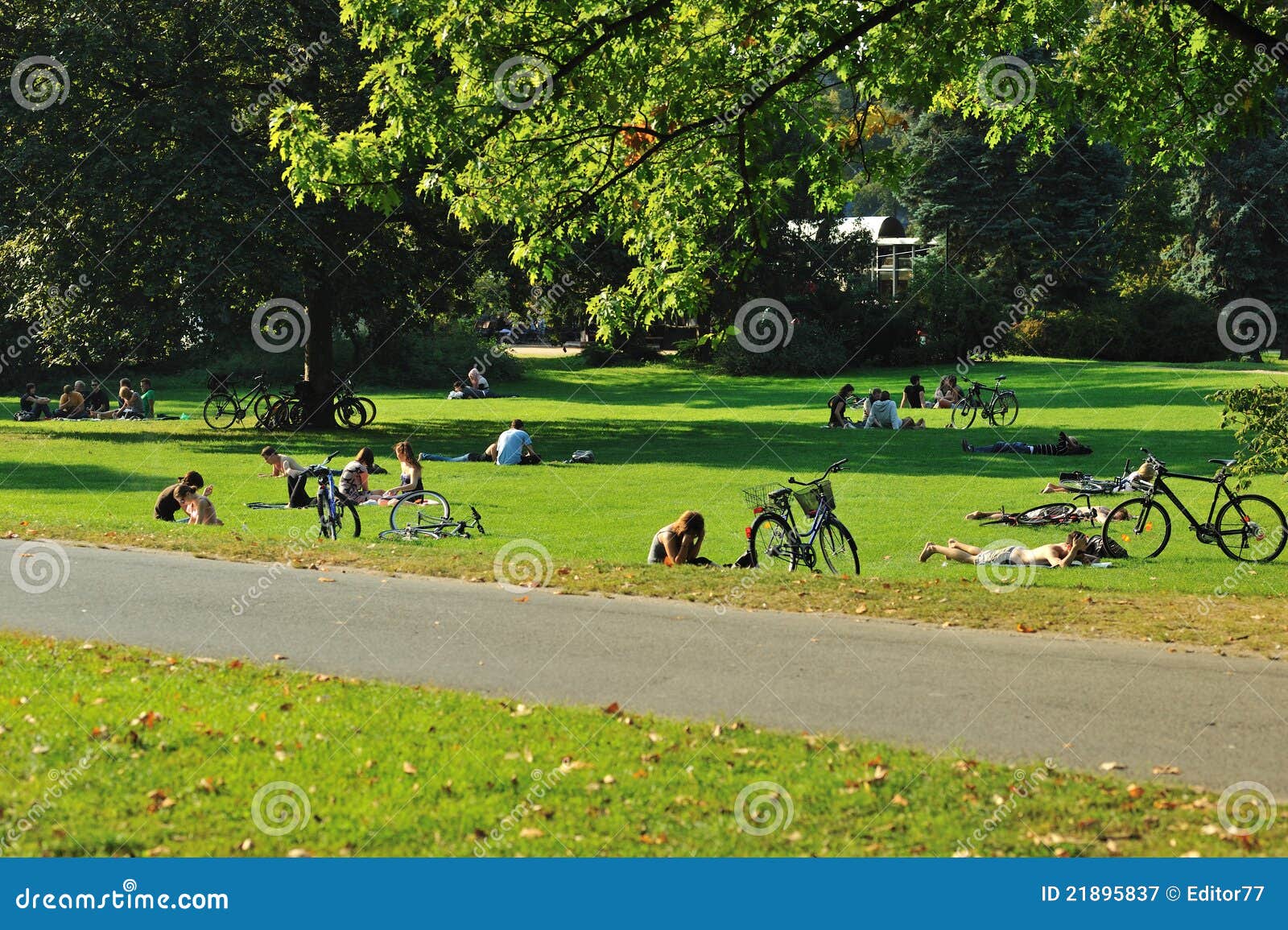 Relaxing time in the park editorial photography. Image of alley - 21895837