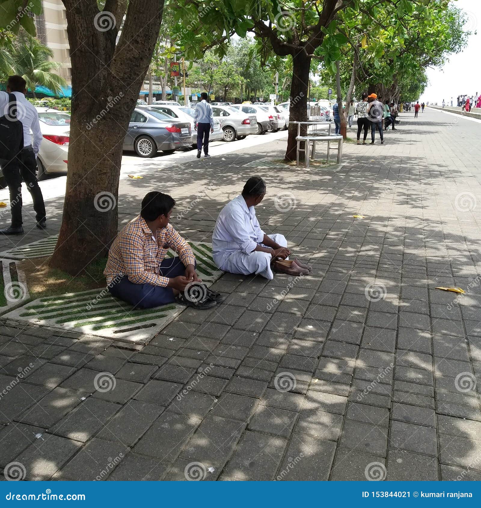 People Relaxing Under a Tree Near Sea. Editorial Photo - Image of tree ...
