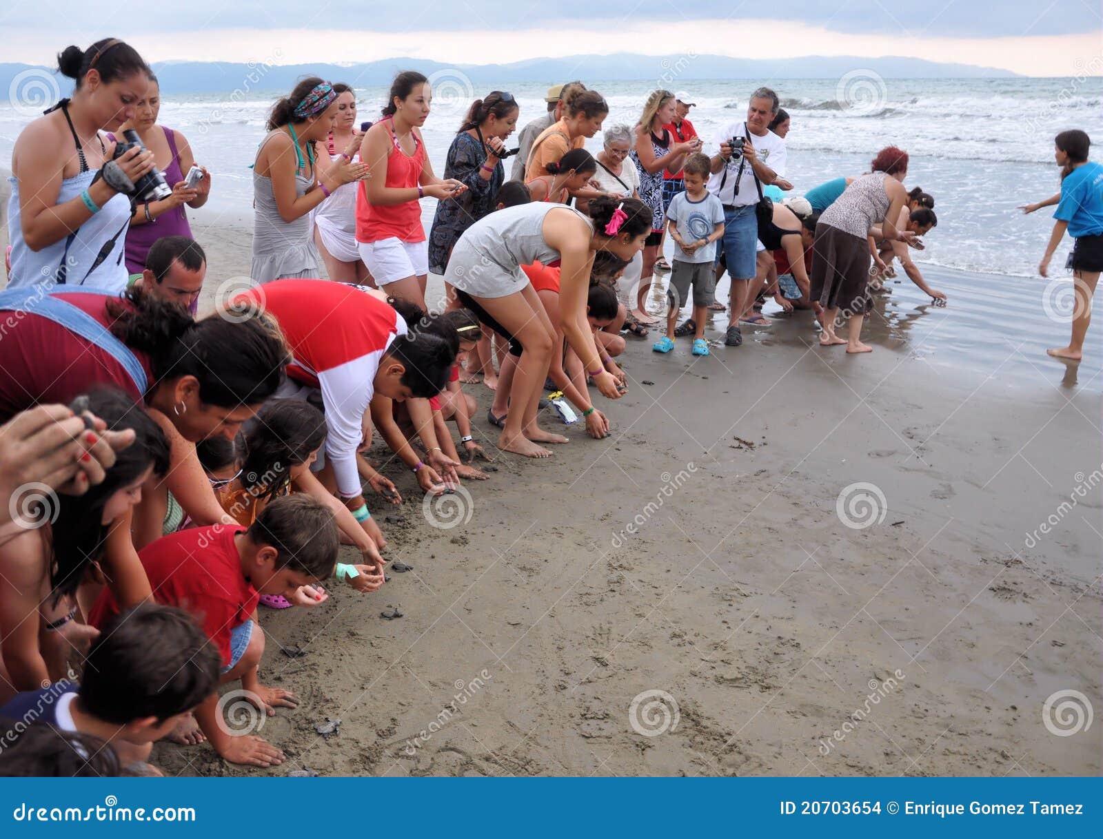 People releasing turtles editorial stock image. Image of people - 20703654