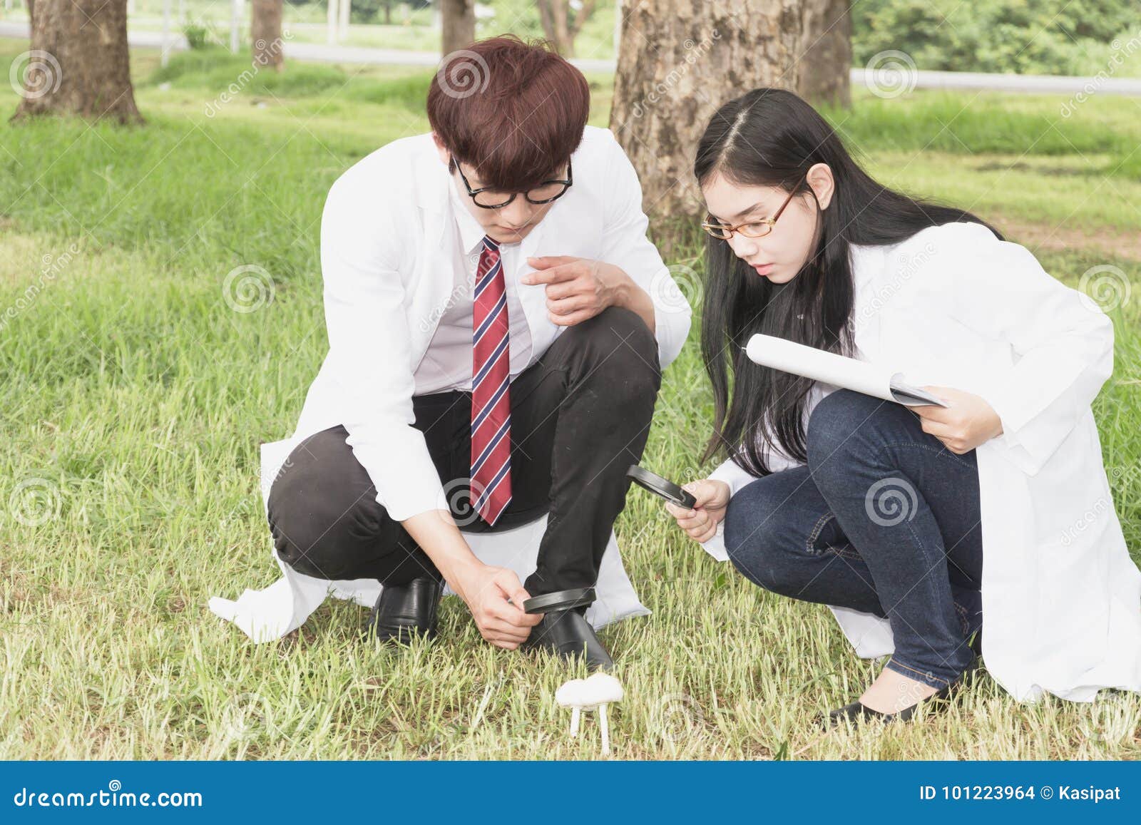 Research study nature stock photo. Image of outdoors - 101223964