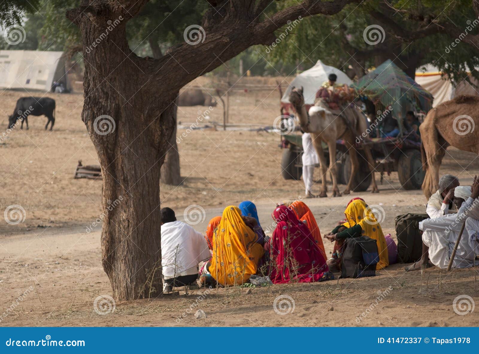 People resting roadside editorial photography. Image of camel - 41472337