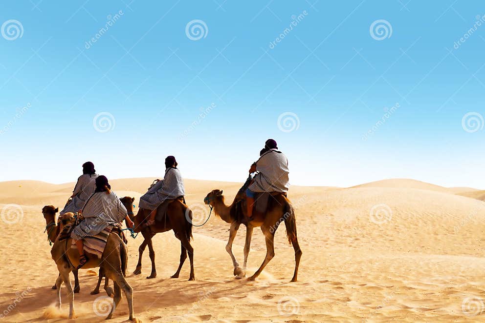 People ridding by camel stock image. Image of exotic - 18064625