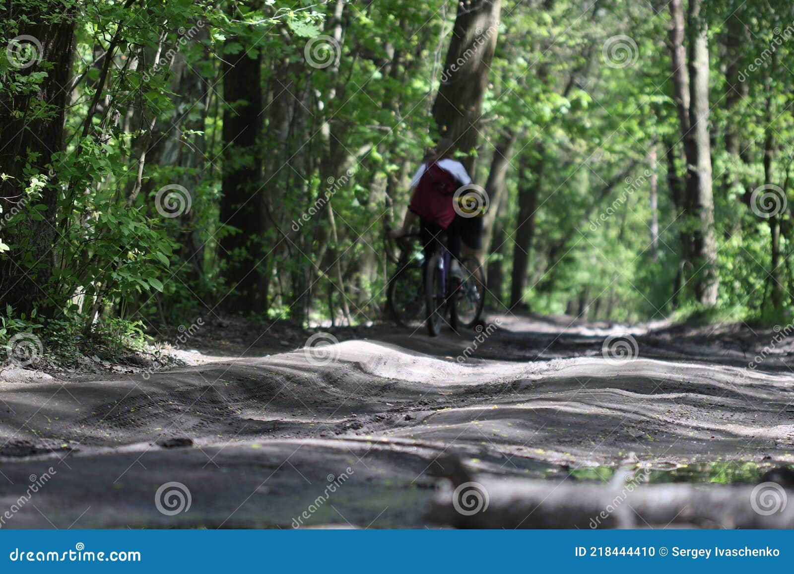People ride in the forest. stock photo. Image of birch - 218444410