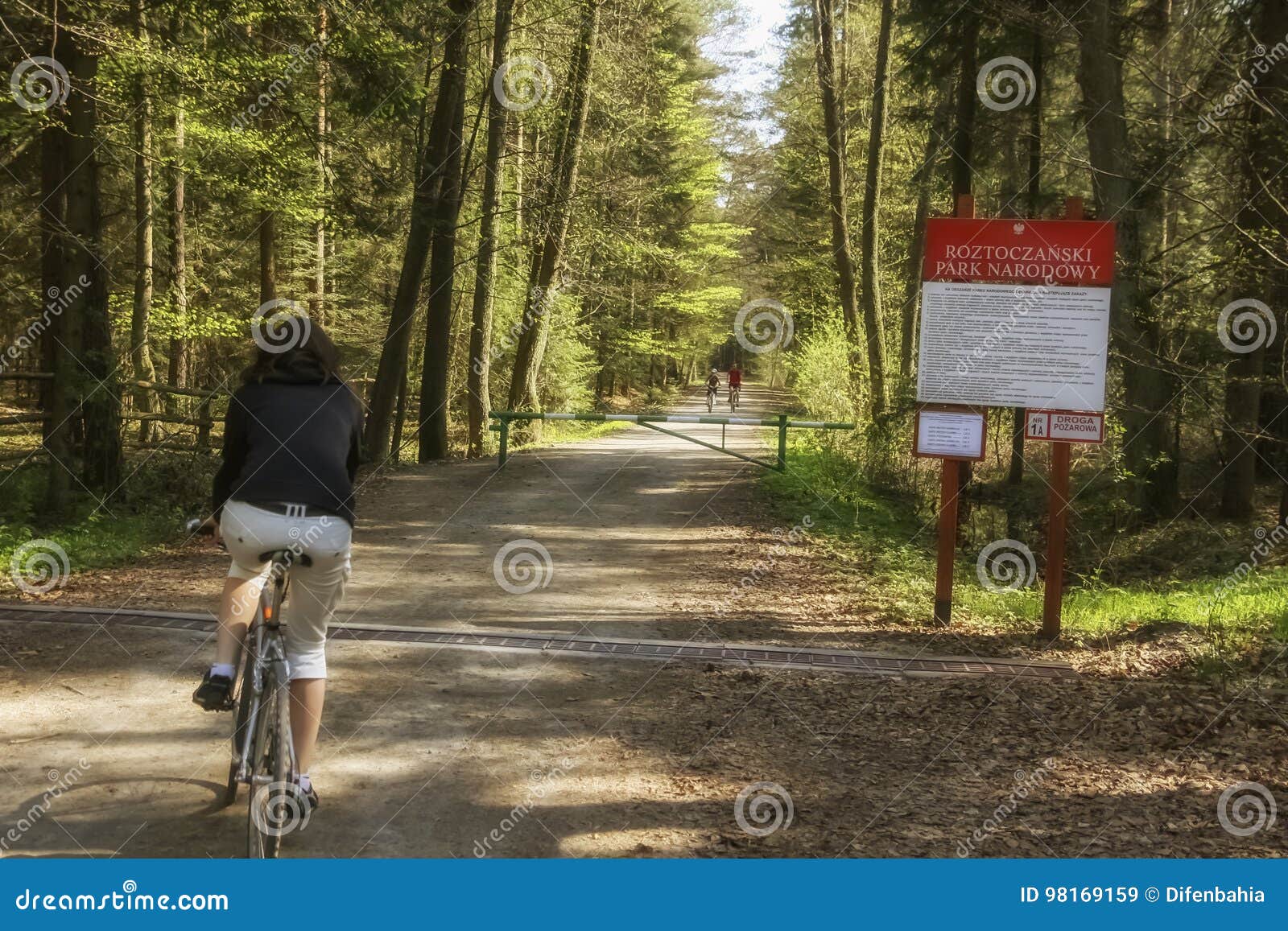 People Riding Bikes on a Forest Trail Editorial Stock Image - Image of ...
