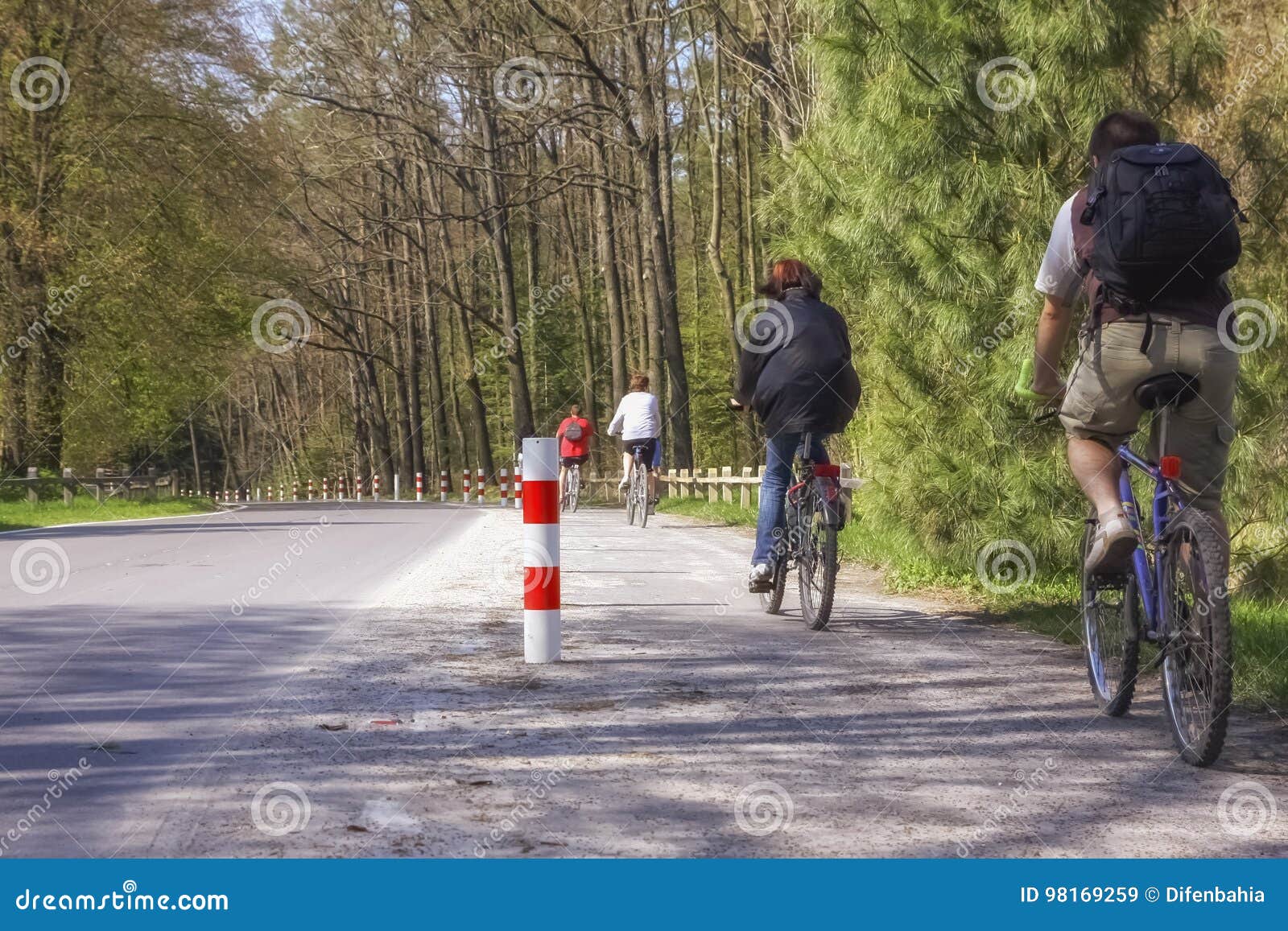 People Riding Bikes on a Forest Trail Editorial Stock Image - Image of ...
