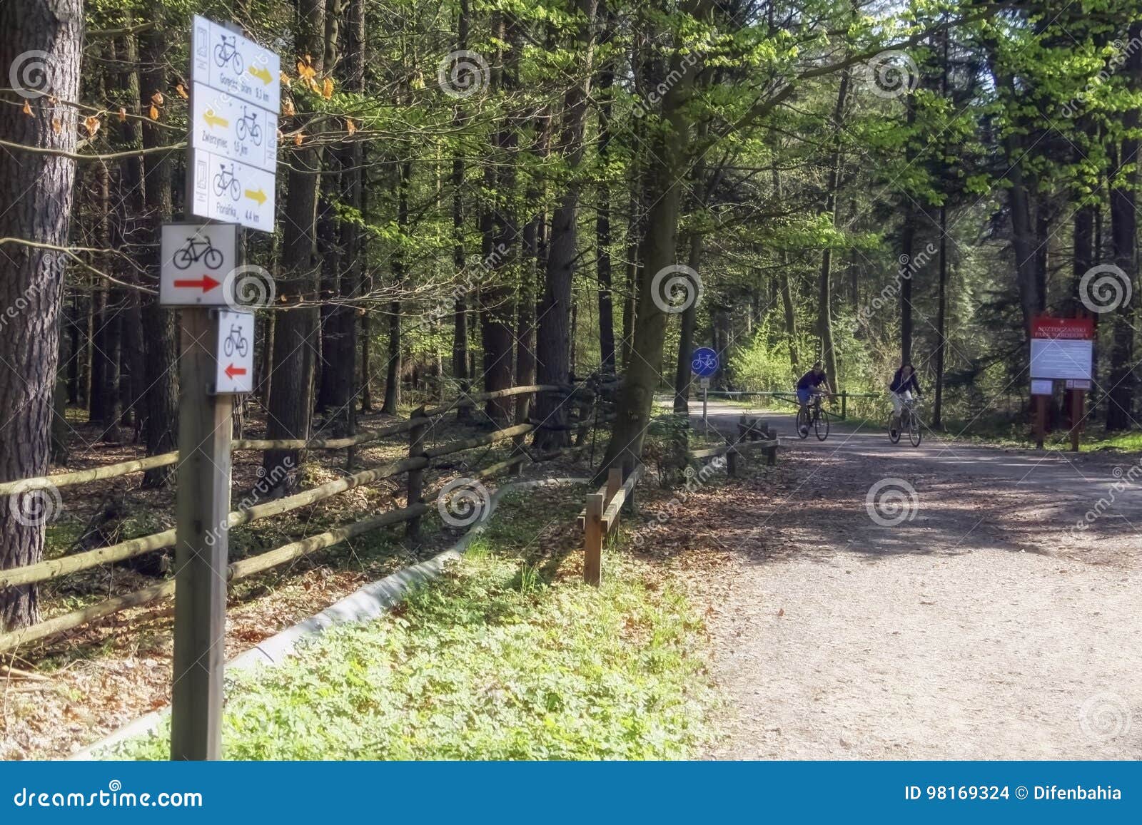 People Riding Bikes on a Forest Trail Editorial Stock Image - Image of ...